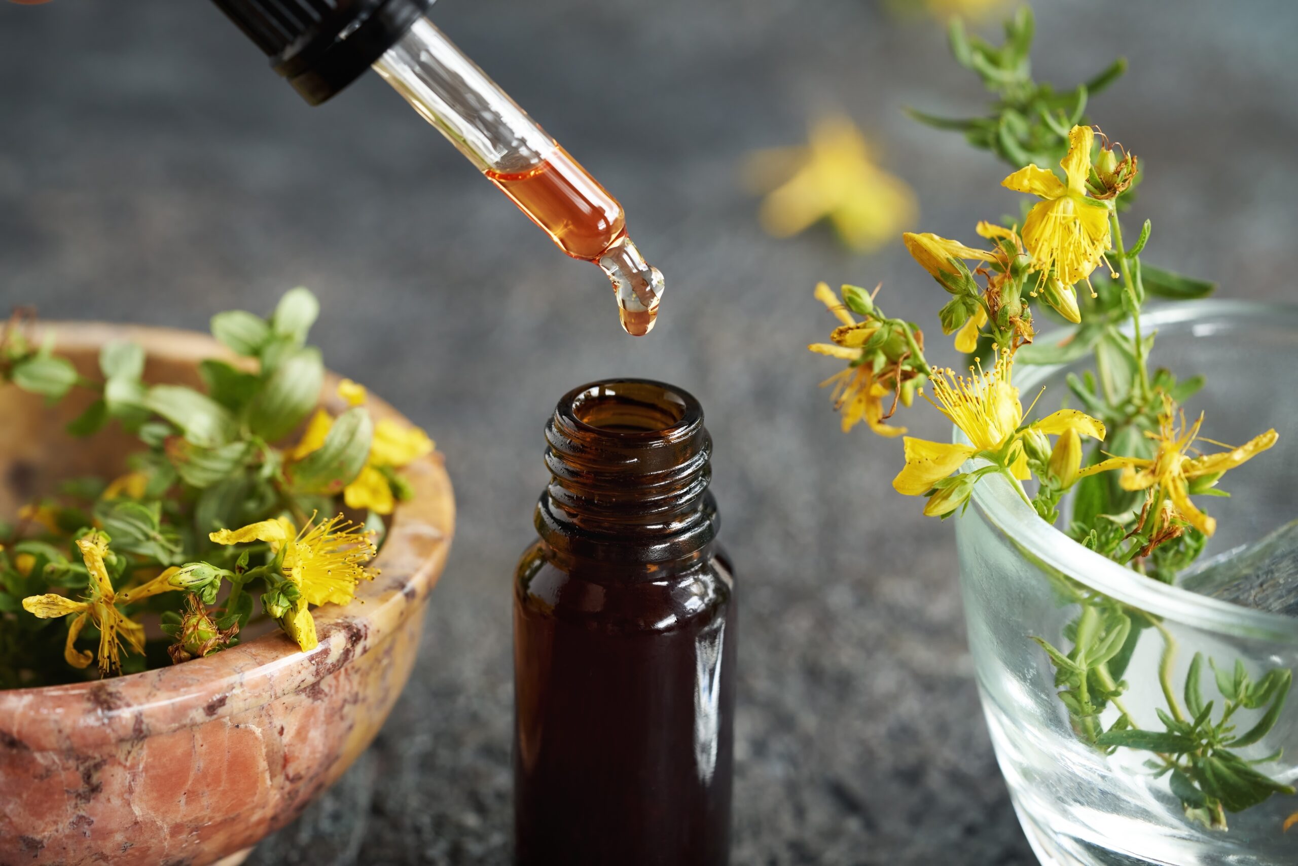 Traditions Matter: Harvesting Energique’s Hypericum for Homeopathic Use ...